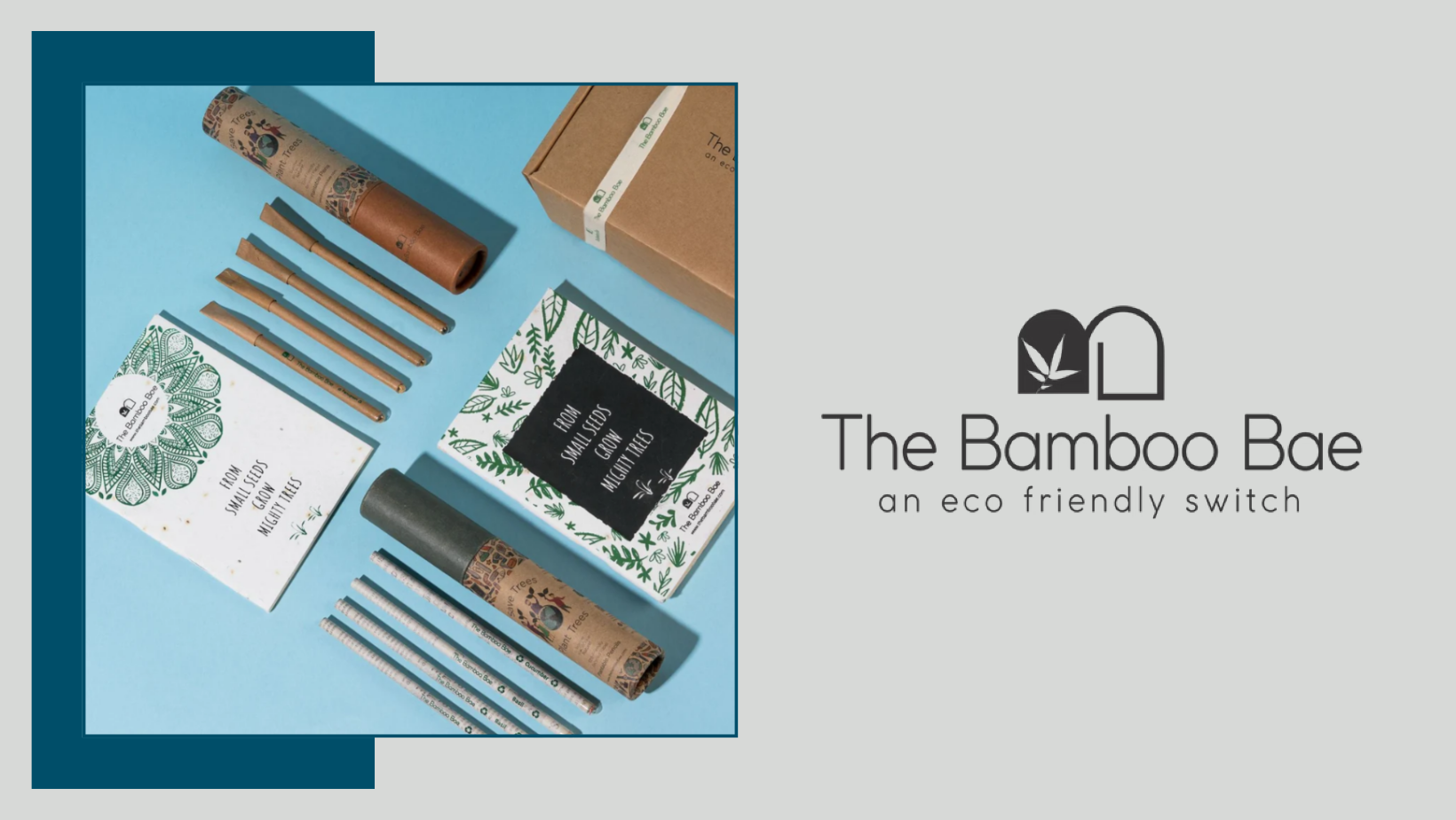 Plantable Paper: How Eco-Friendly Stationery Can Bloom – THE BAMBOO BAE UAE