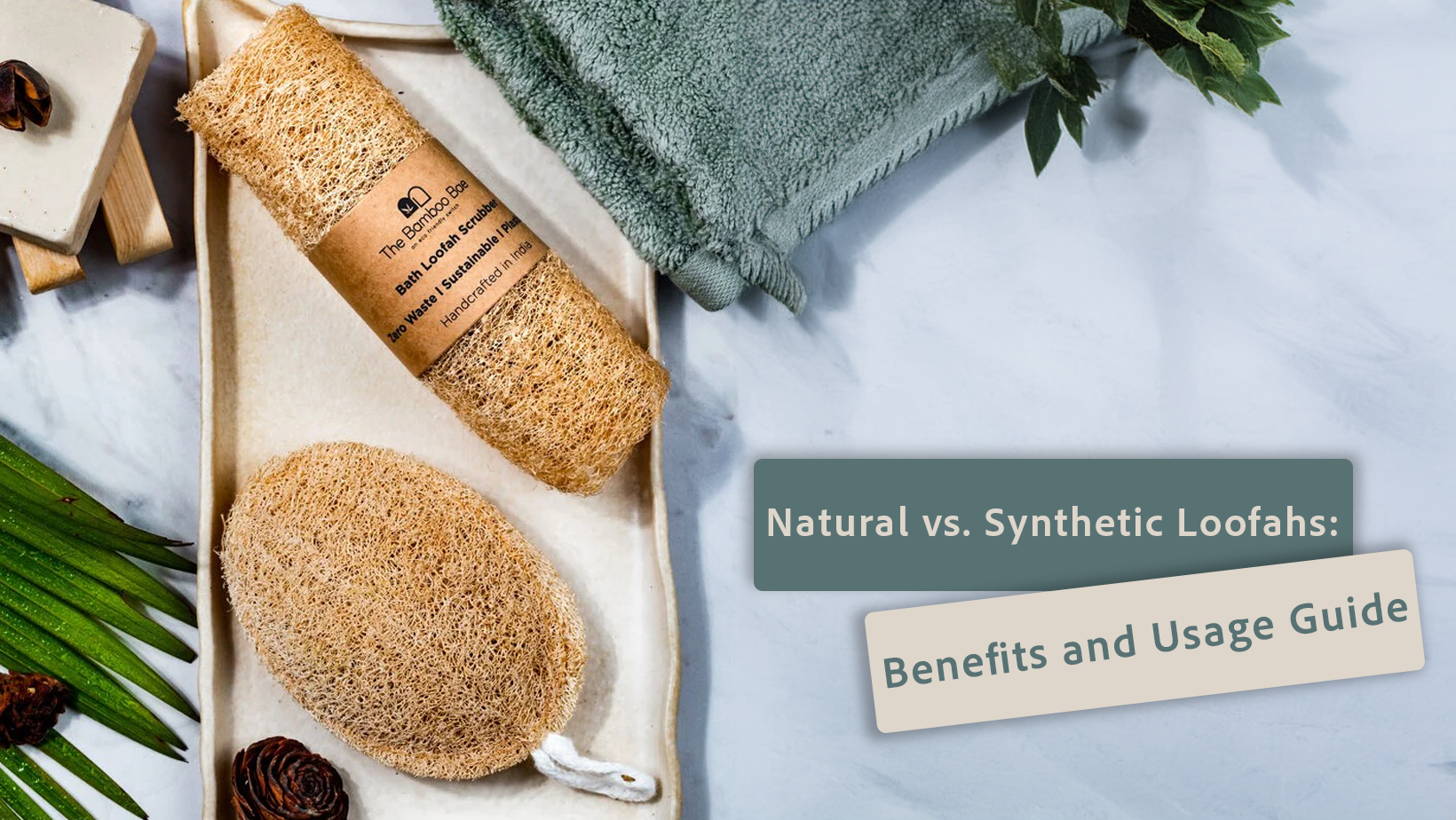 Natural Loofah vs Synthetic Loofah | Benefits | How to Use? – THE ...