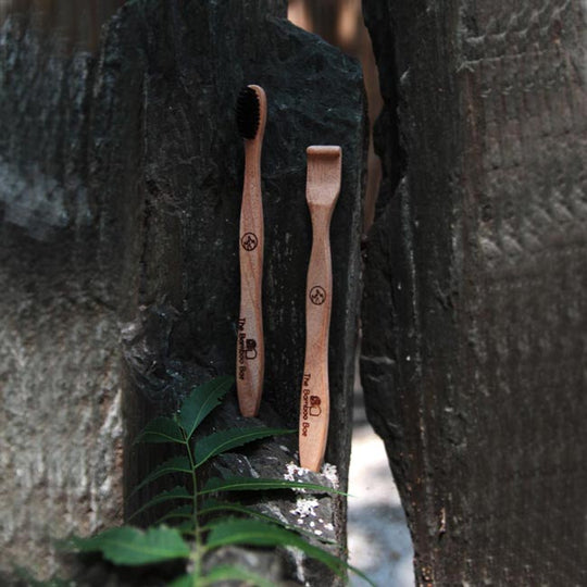 Eco-Friendly Corporate Gifts | BambooBae – THE BAMBOO BAE UAE